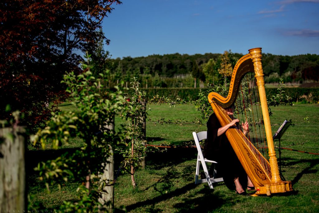 Jamesport Manor Inn Wedding | Intimate North Fork Wedding